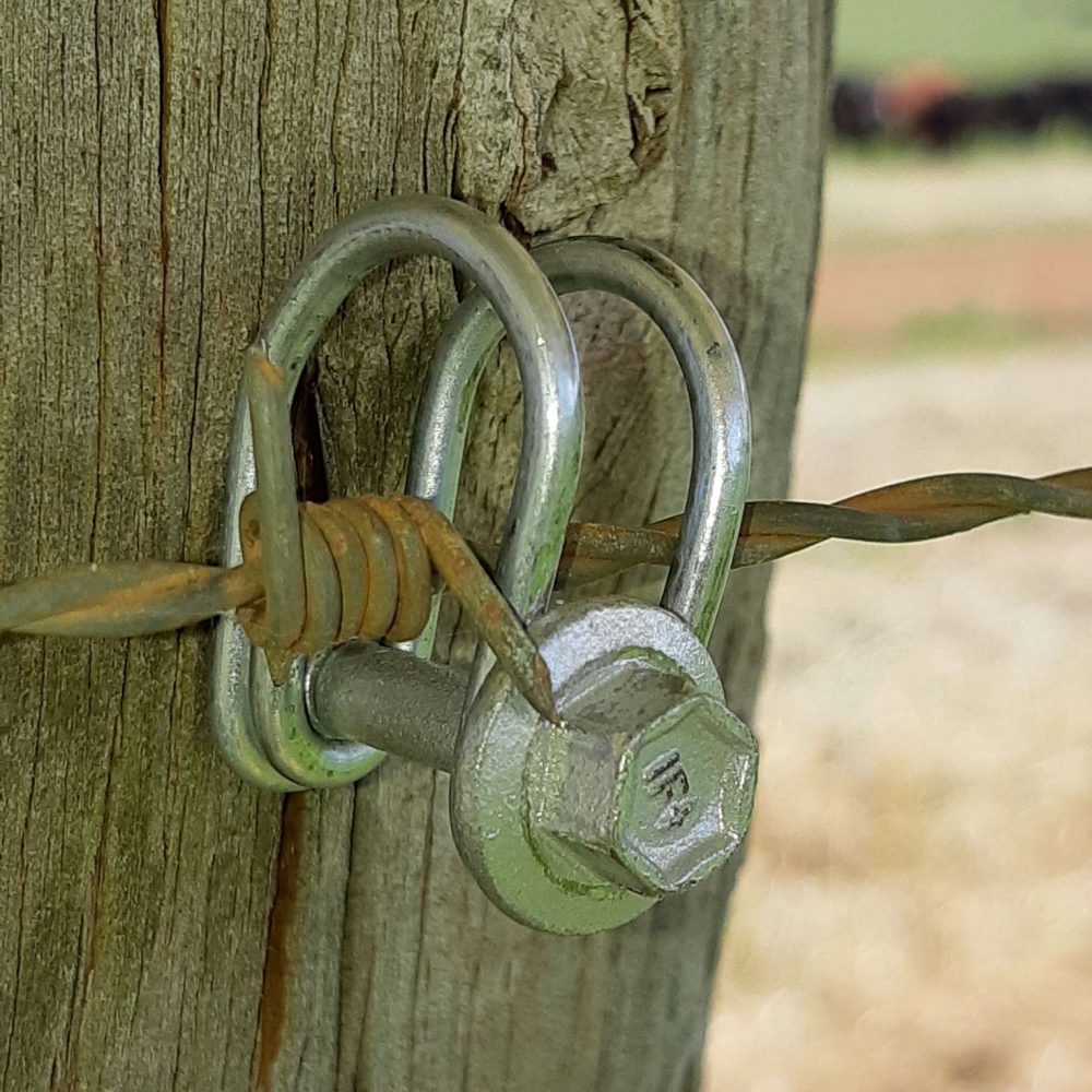 Davo's Fencing Clip | Shop