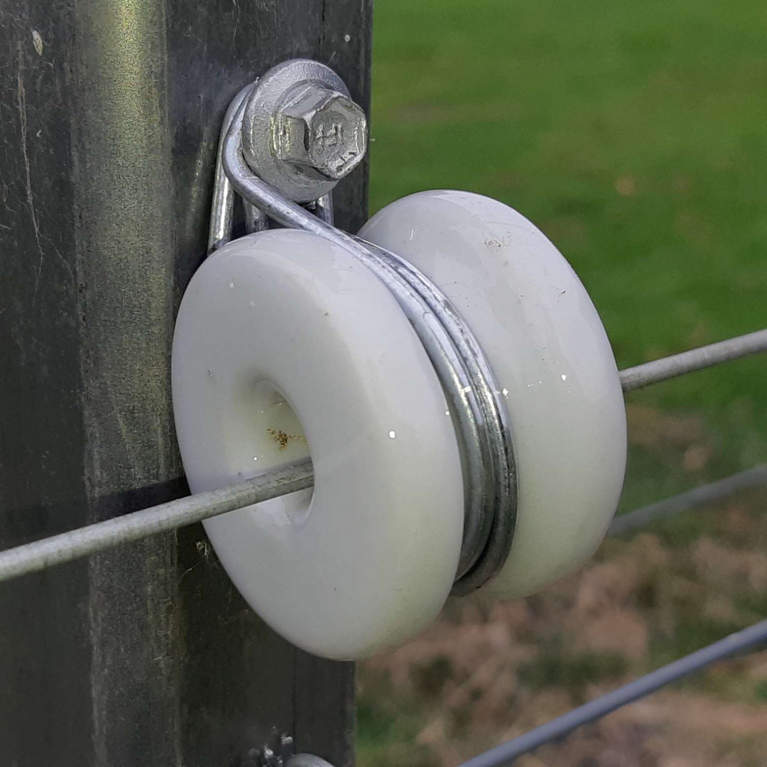 Davo's Fencing Clip | Shop